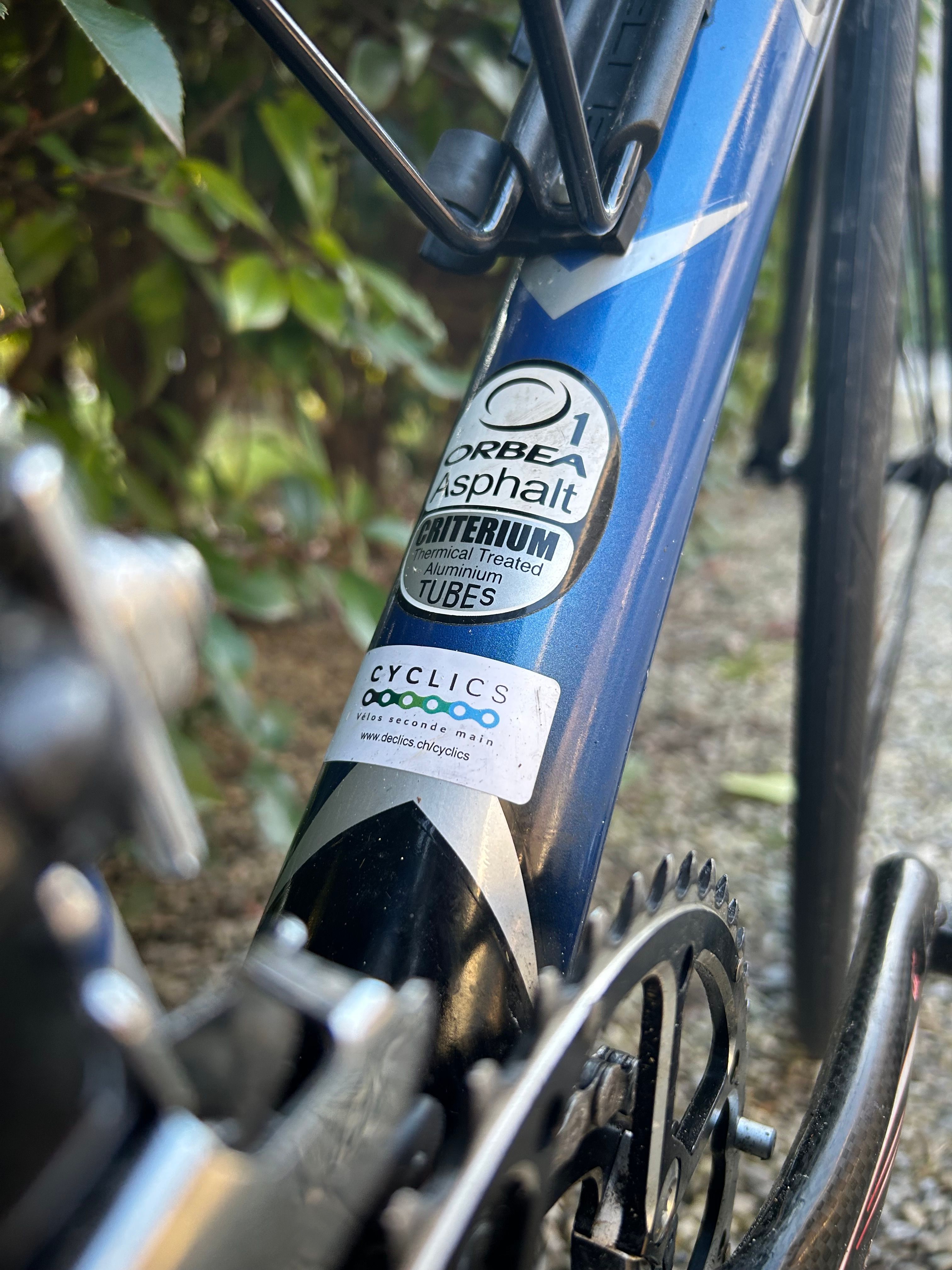Orbea Asphalt used in 52 cm | buycycle
