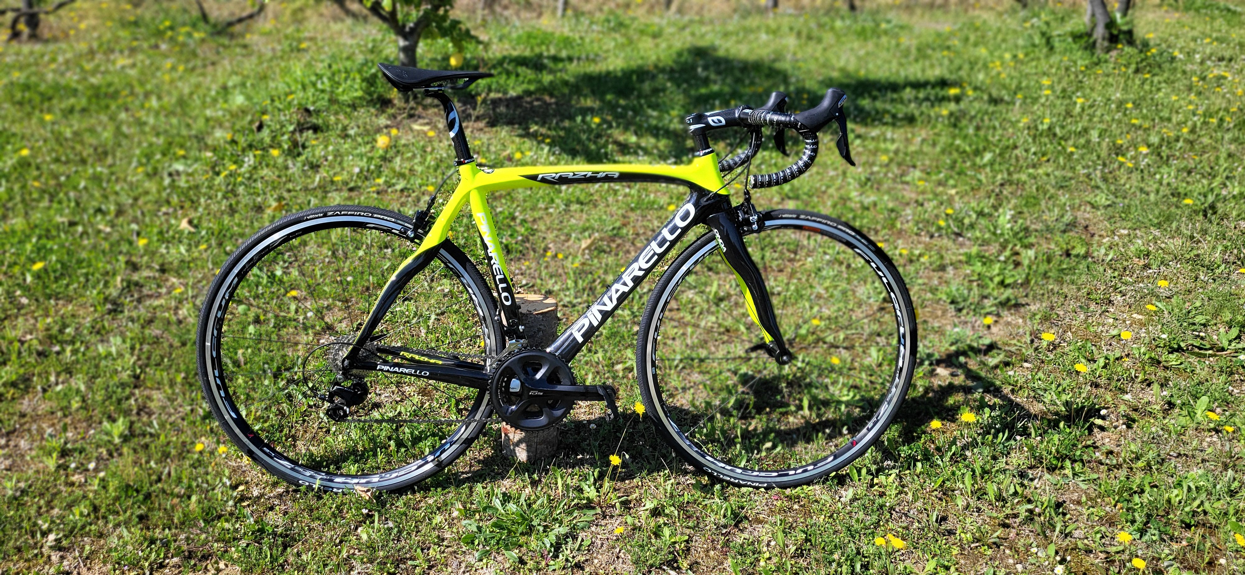 Pinarello Pinarello Razha Shimano 105 11v 54 used in 54 cm | buycycle