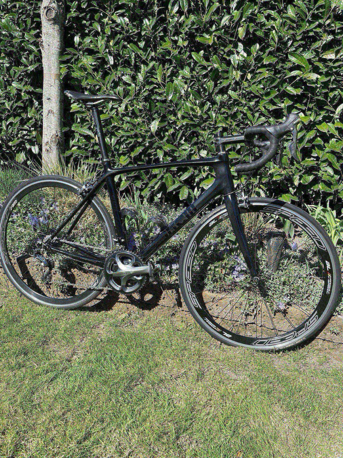 Cinelli Seatta Radical Plus 2015 used in M | buycycle