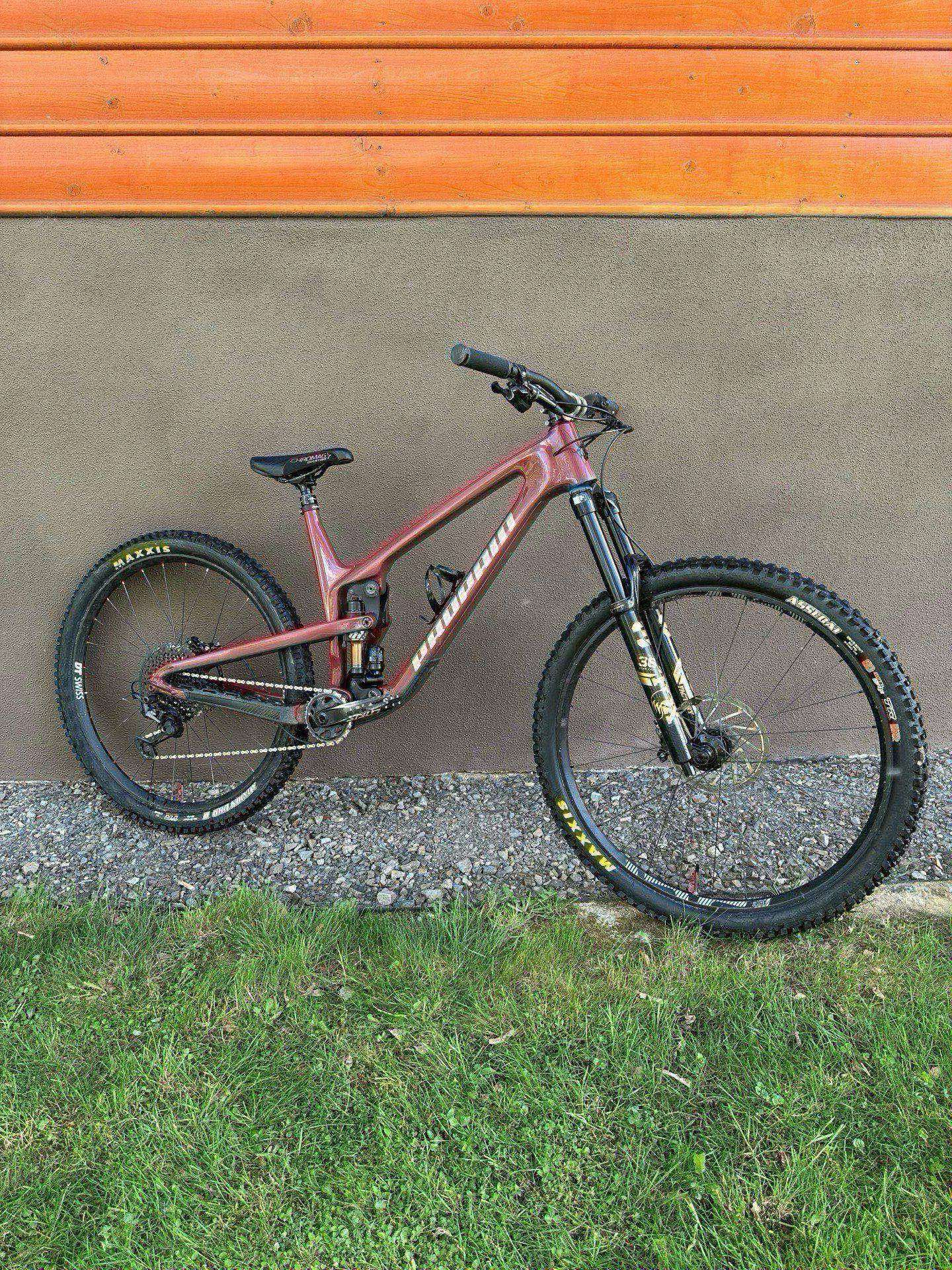 Propain Tyee CF 29 Performance usado em XL | buycycle