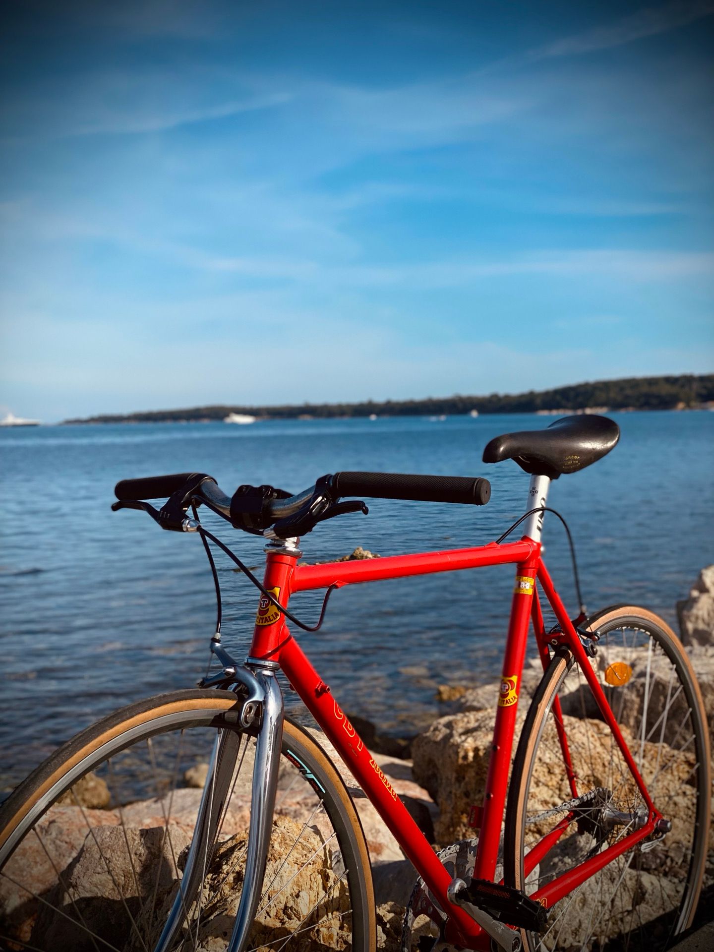 Vintage Single Speed Road Bike