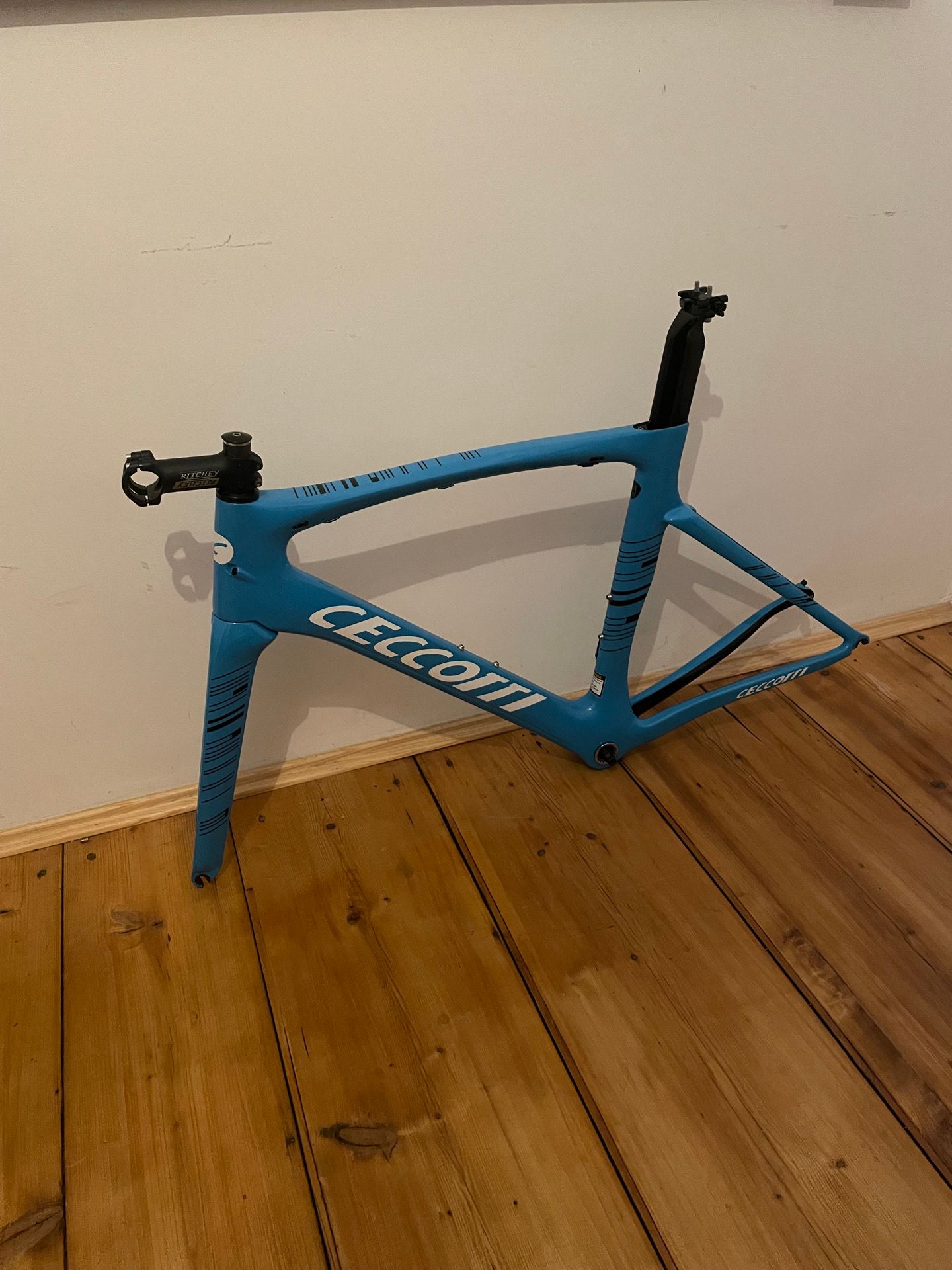 Ceccotti RF09 Full Carbon used in 54 cm | buycycle