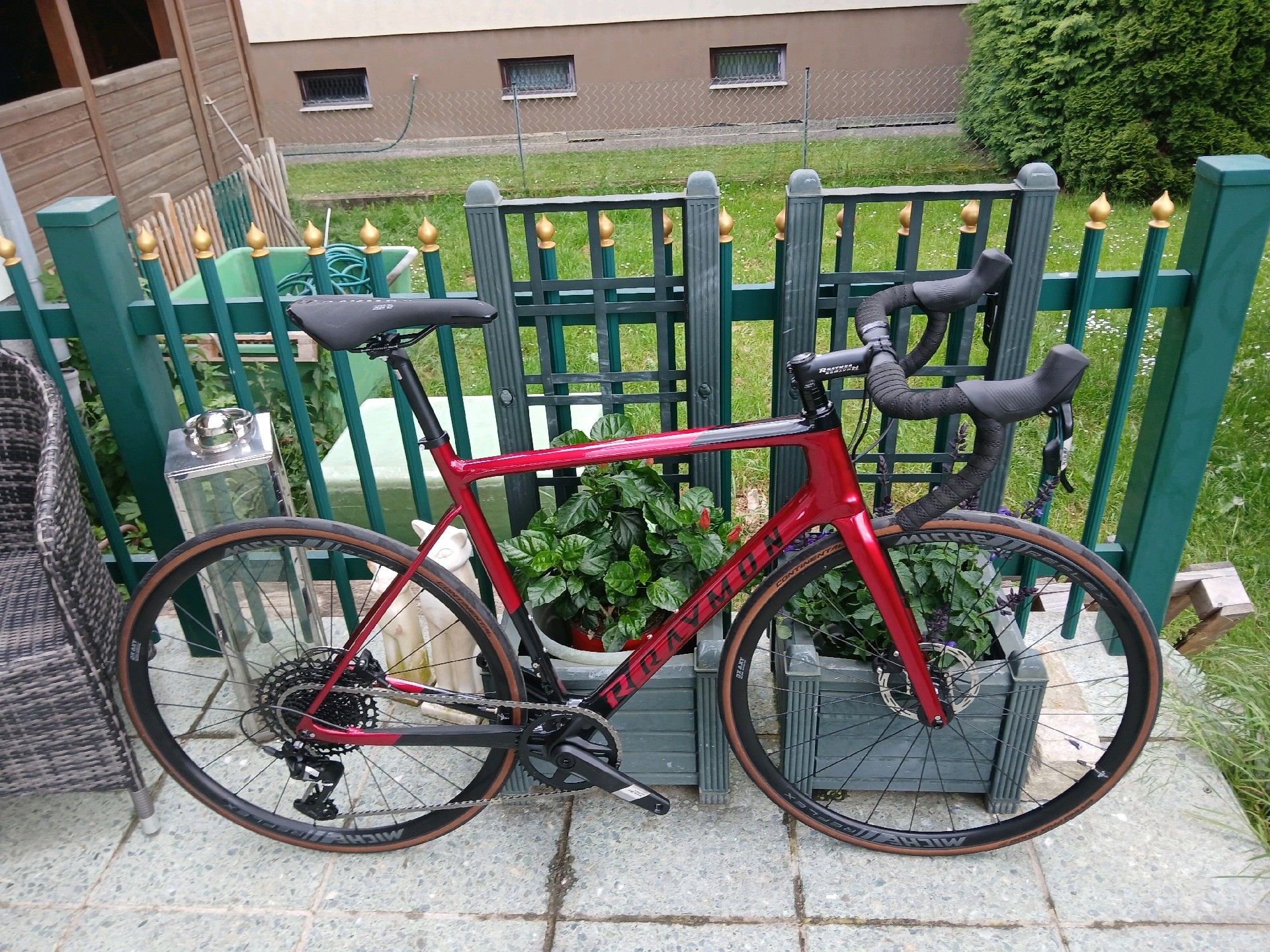 R RAYMON RaceRay 8.0 used in 56 cm | buycycle