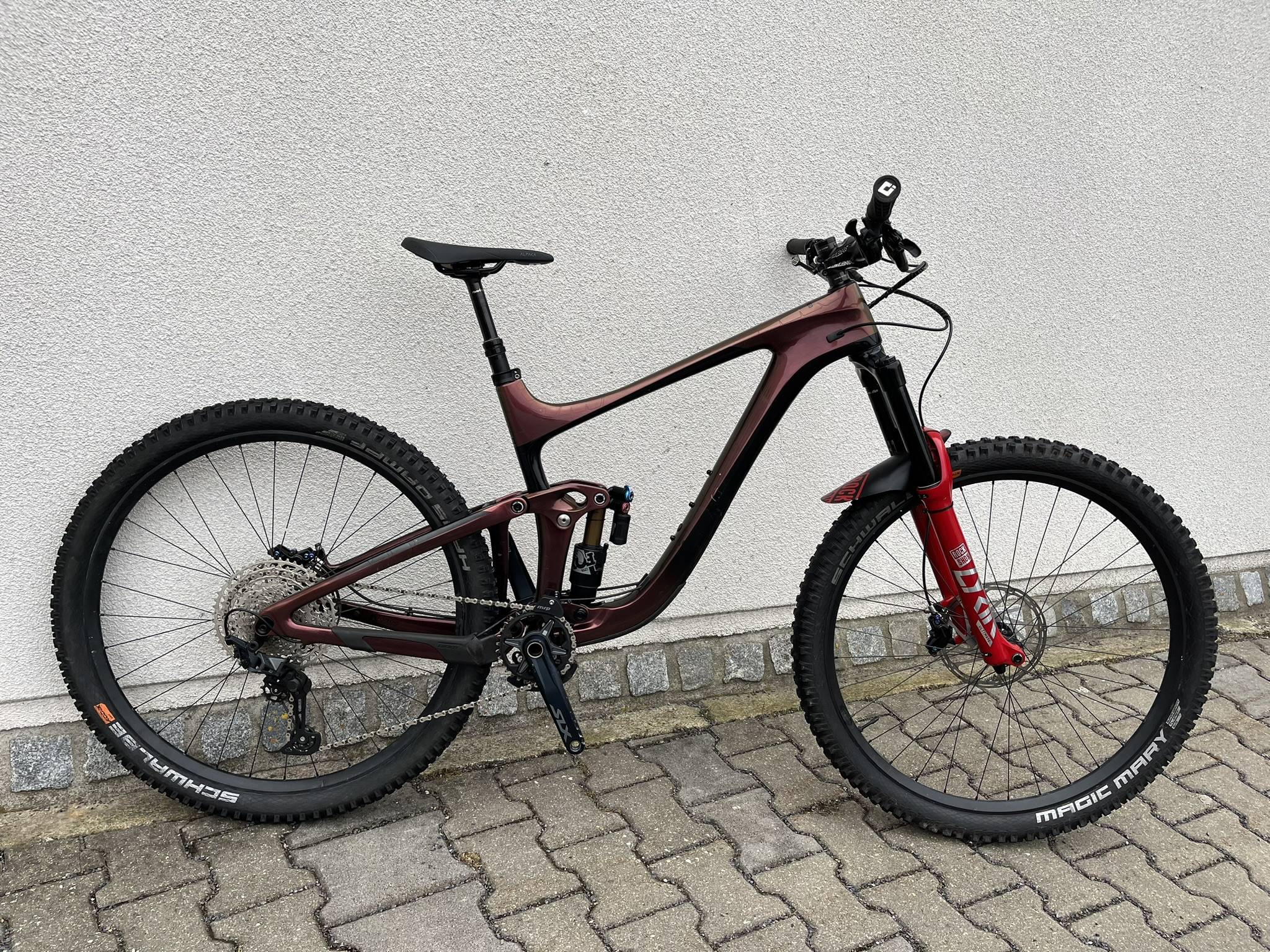 Giant Reign Advanced Pro 29 Frameset used in L | buycycle