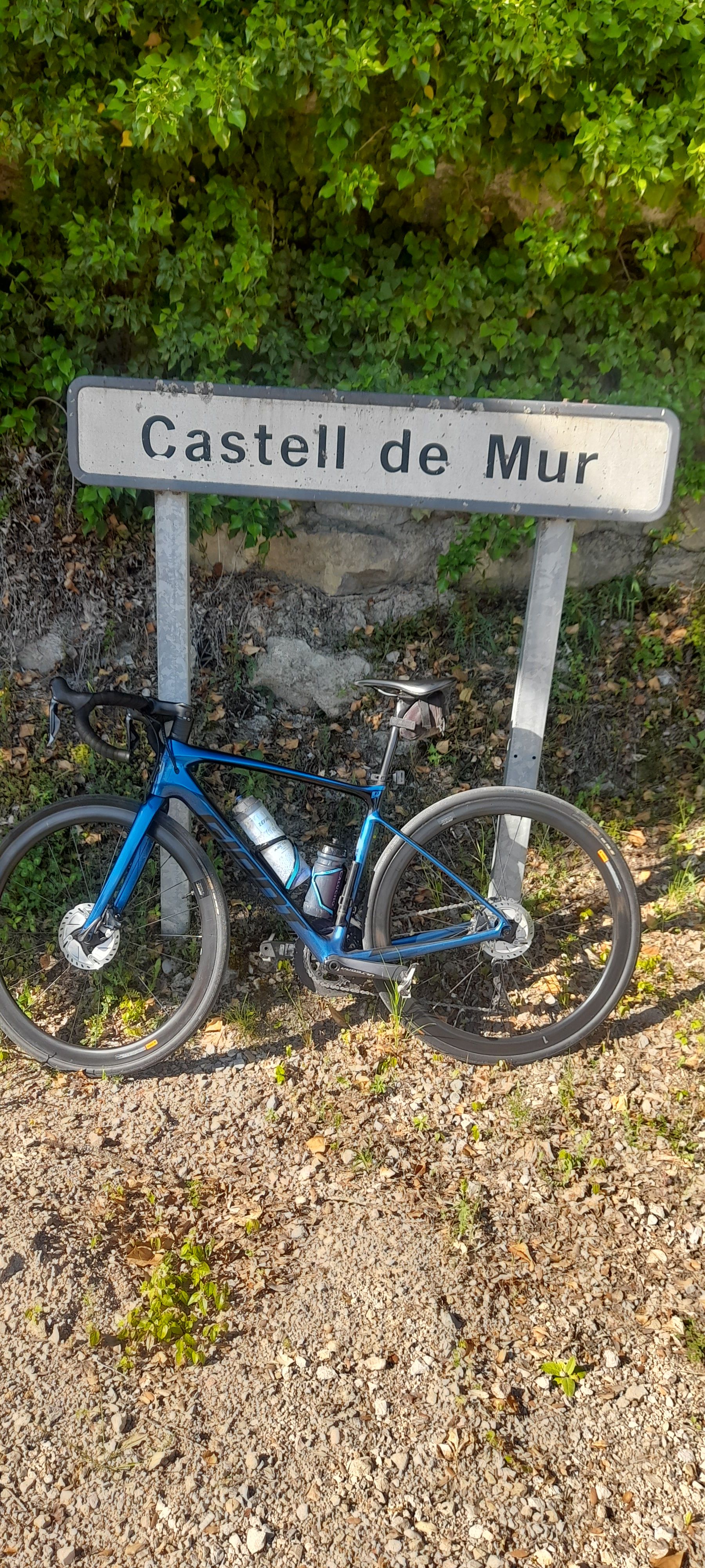 Giant Defy Advanced, Pro 1 Di2 used in S | buycycle