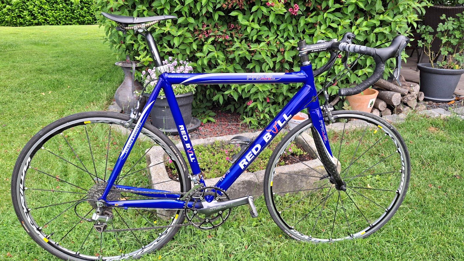 Red Bull (Rose) red bull Pro SL 2008 used in 58 cm | buycycle