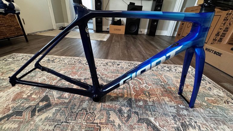 Giant TCR Advanced Pro Frameset 2024
