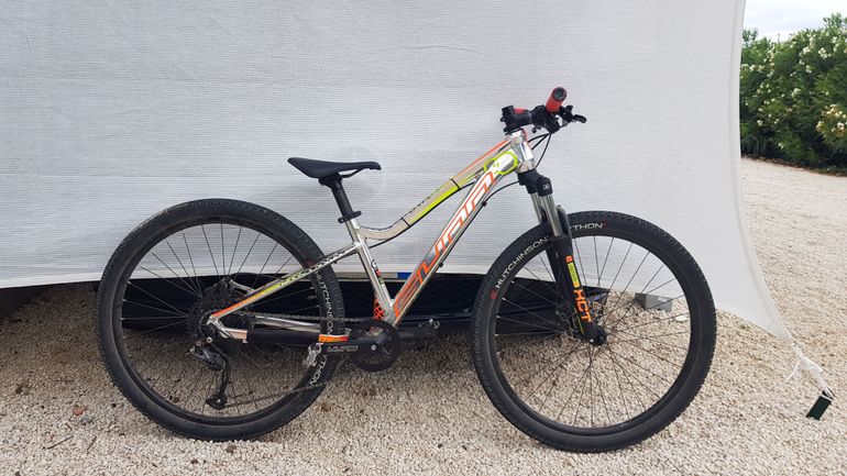 SUNN Tox Junior 2022