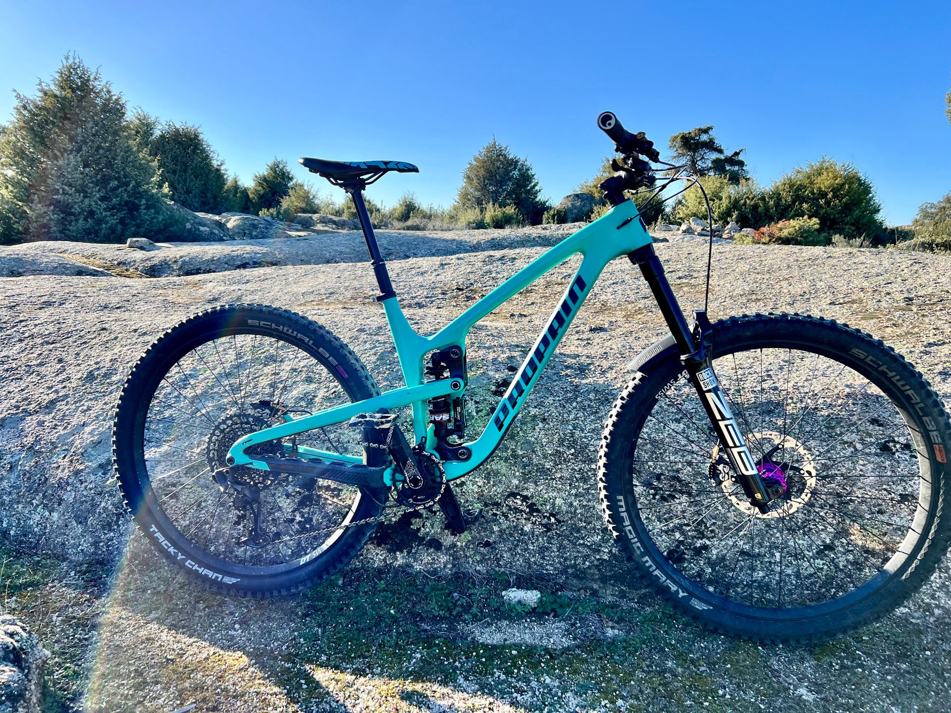 Propain Propain Tyee CF5 Custom M 2021