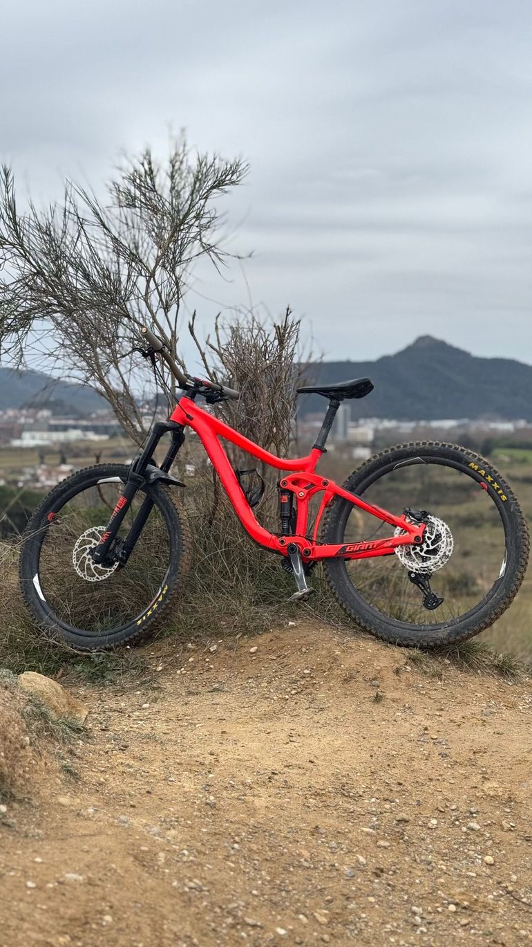 Giant Reign 2 2019 2019