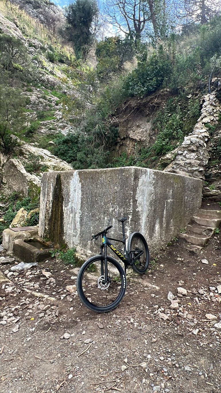 Scott Spark RC Comp 2024 2024