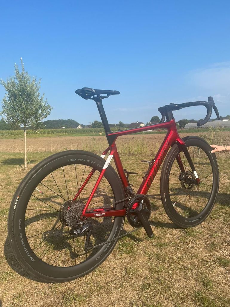 Wilier Filante SLR SHIMANO ULTEGRA Di2 R8170 2X12S 2024 2024