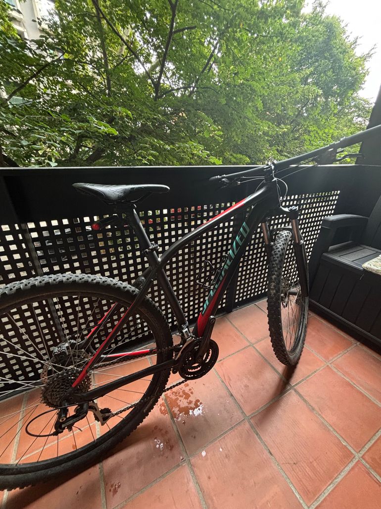 Specialized Rockhopper 29 2017 2017