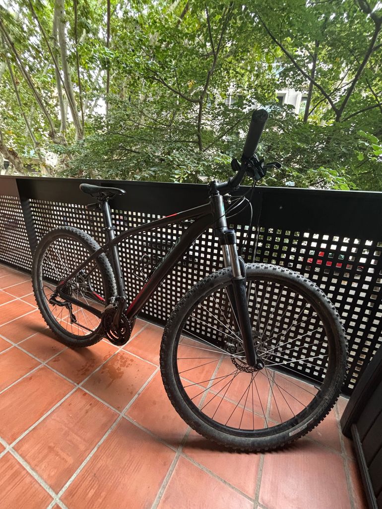 Specialized Rockhopper 29 2017 2017