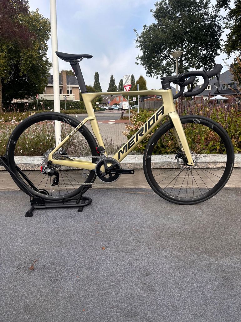 Merida REACTO RIVAL-EDITION 2024 2024