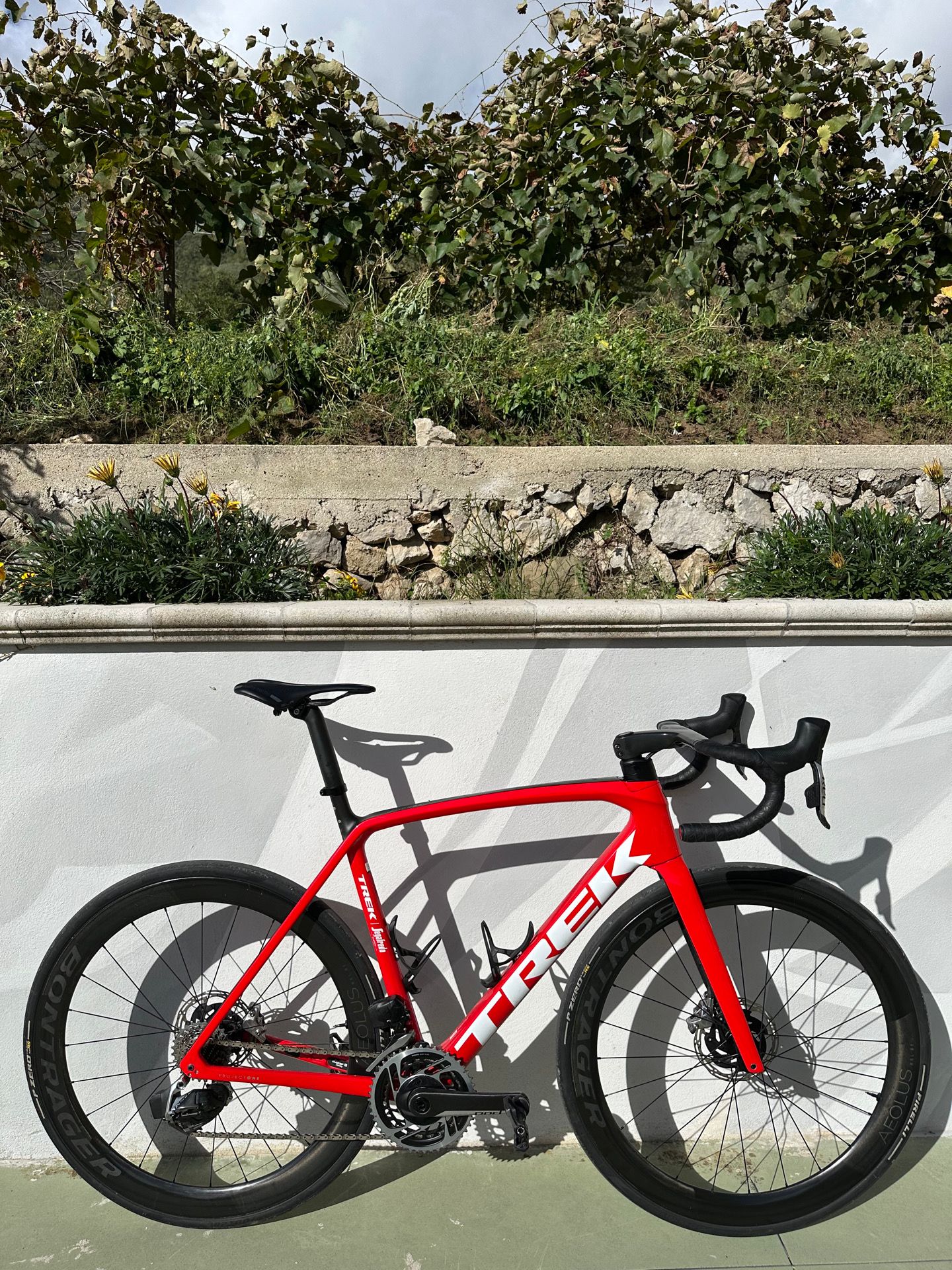 Trek Emonda SRAM Red eTap AXS 2024
