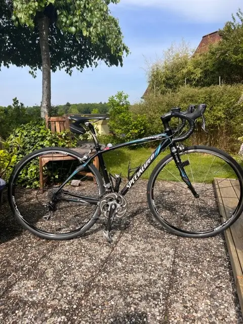 Specialized Ruby Pro gebraucht kaufen S | buycycle