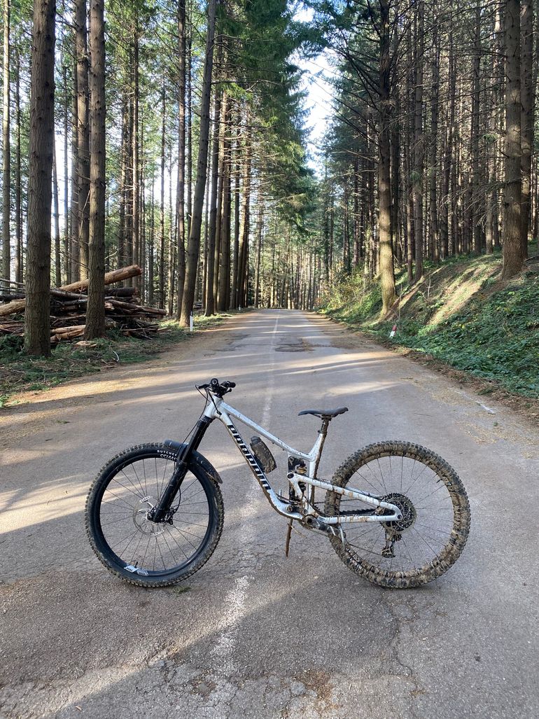 Propain Tyee Frameset 2023