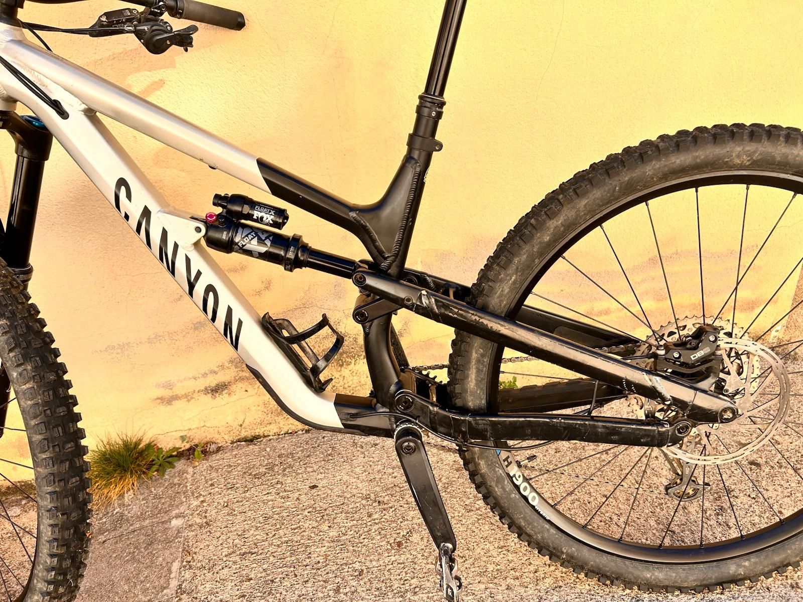 Canyon Spectral 29 AL 5 2024 2024