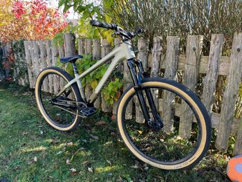 Polygon Trid Single Speed / Fixed Gear 2024