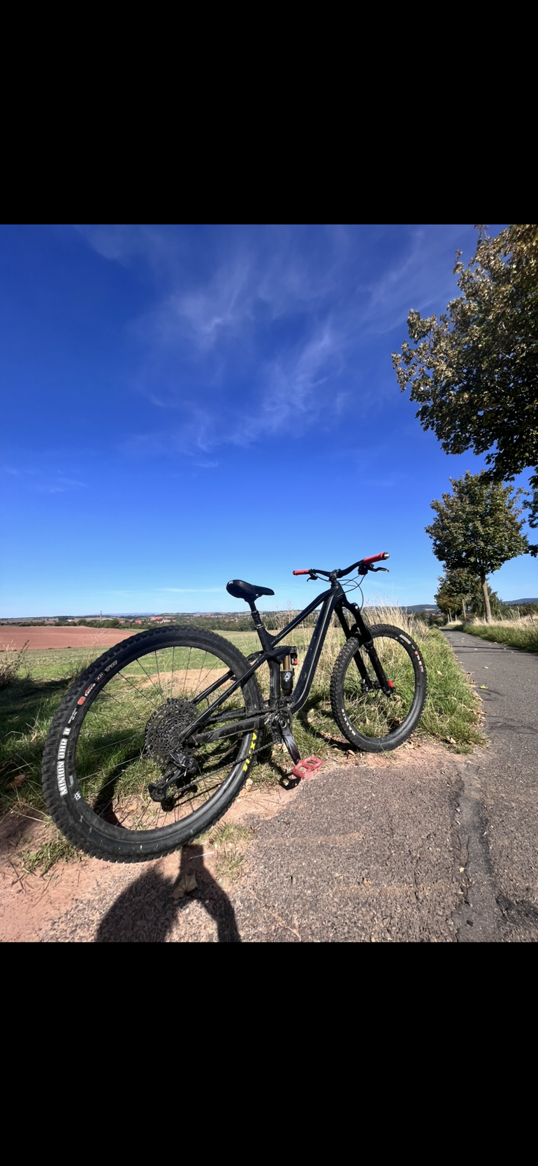 CUBE STEREO ONE77 PRO 29 2024 2024