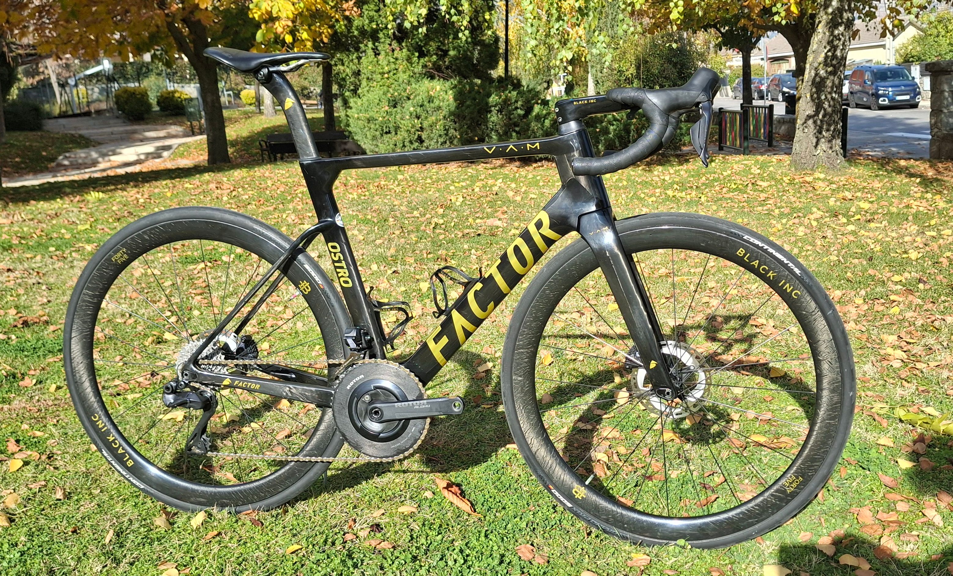 Factor VAM Gold Edition 2023