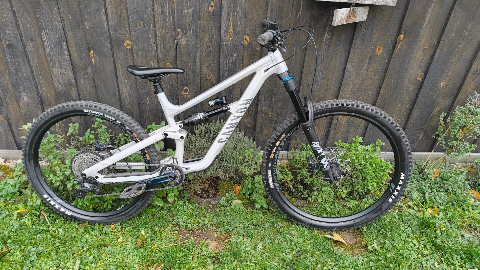 Canyon Torque Mullet AL 7 2024 2024