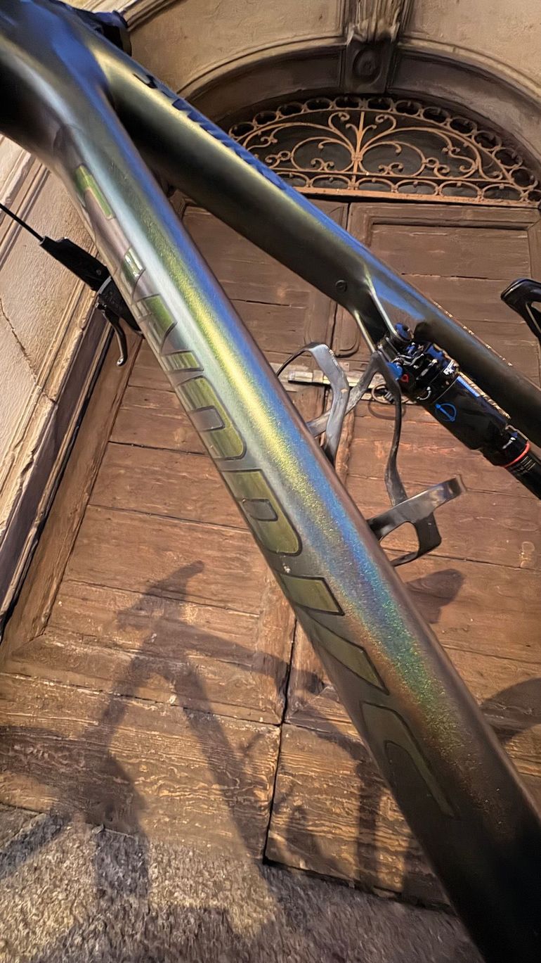 Specialized Epic Frameset 2023