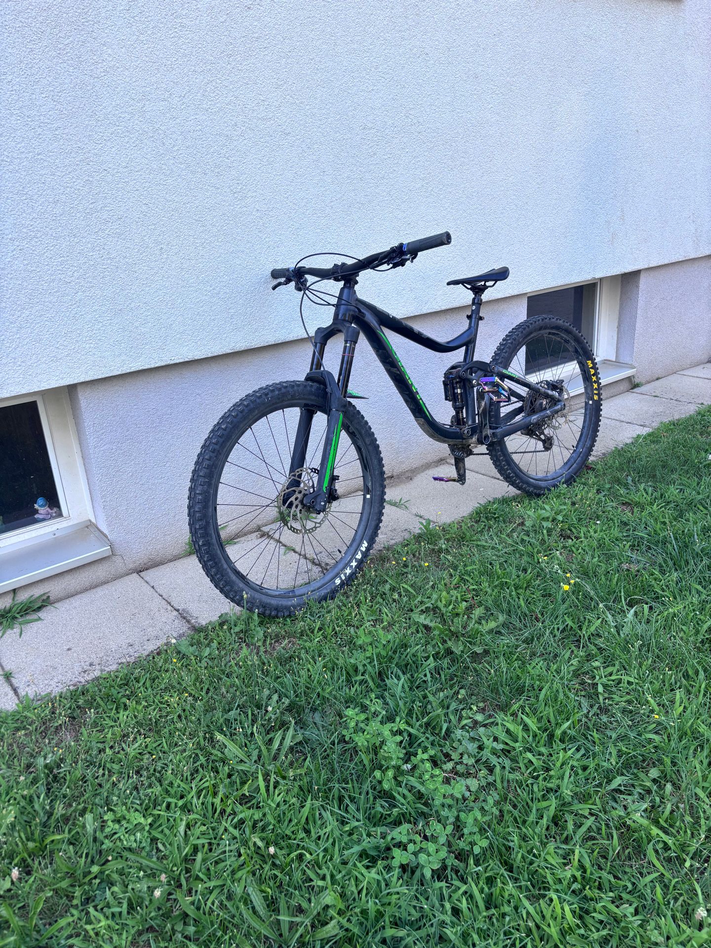 Giant Reign 1 2019 2019