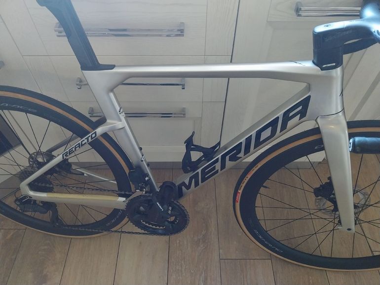 Merida REACTO 6000 2025 2025