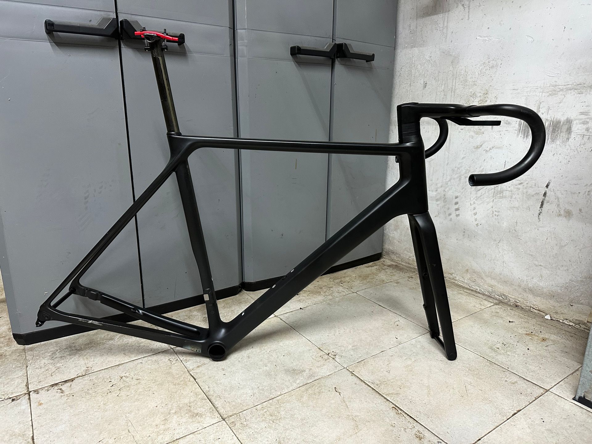 Canyon Ultimate CF Evo Disc 10.0 LTD 2020 Frameset 2020