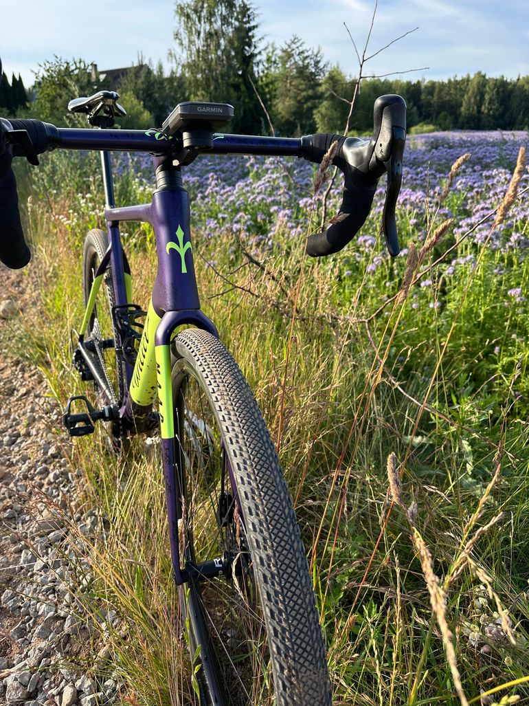 Wilier Rave SRAM Force eTap AXS 2024