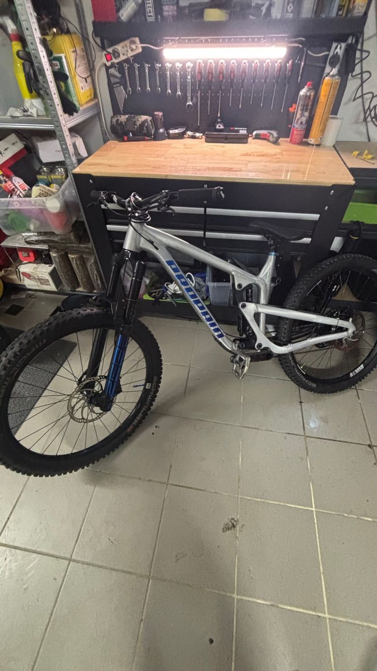 Propain Spindrift 4al Custom 2024