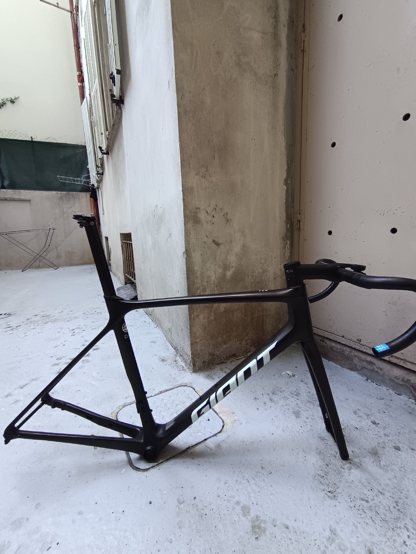 Giant TCR Advanced, Pro Disc 1 2021 Frameset 2021