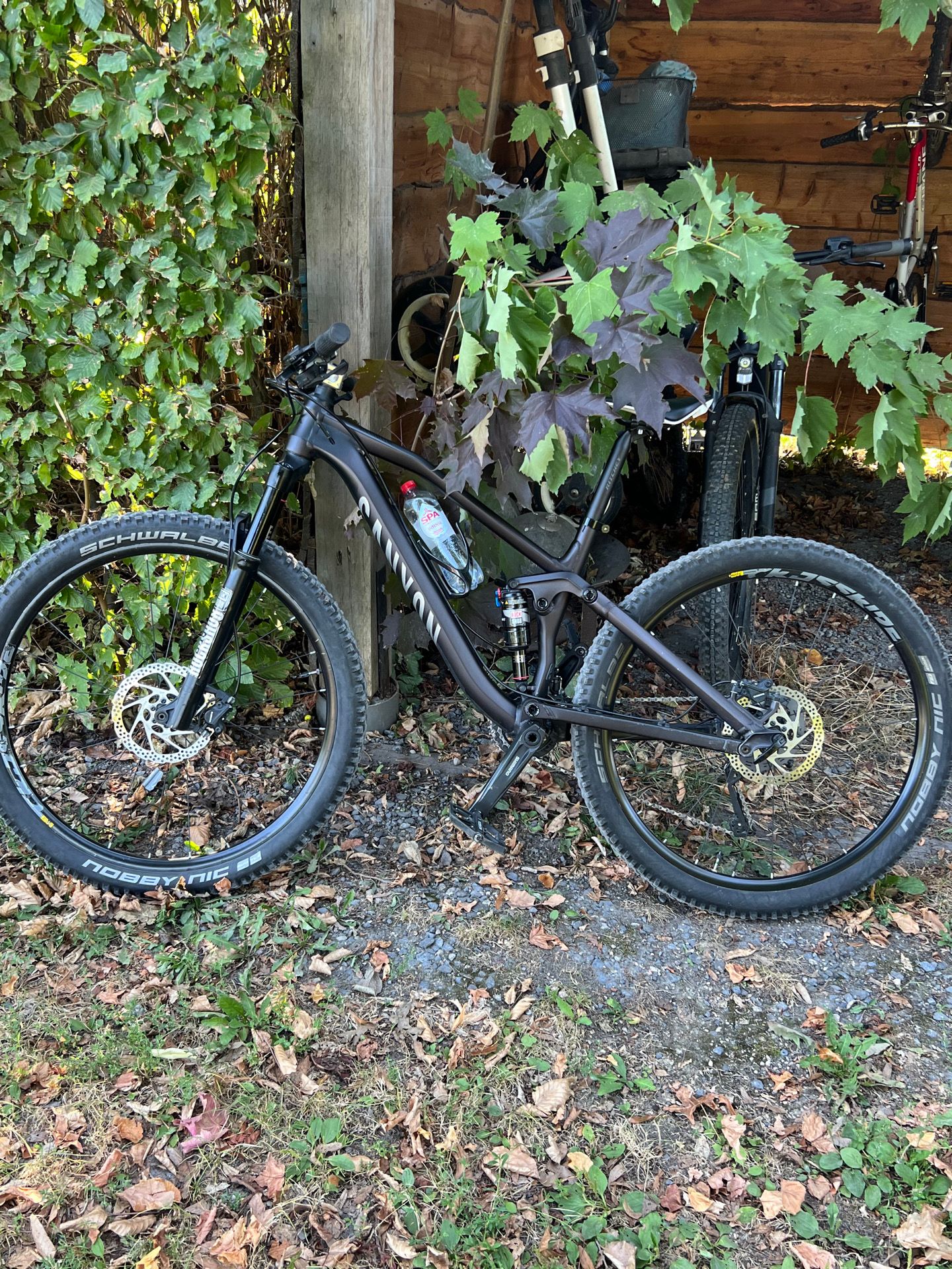 Canyon Strive CFR 2023 2023