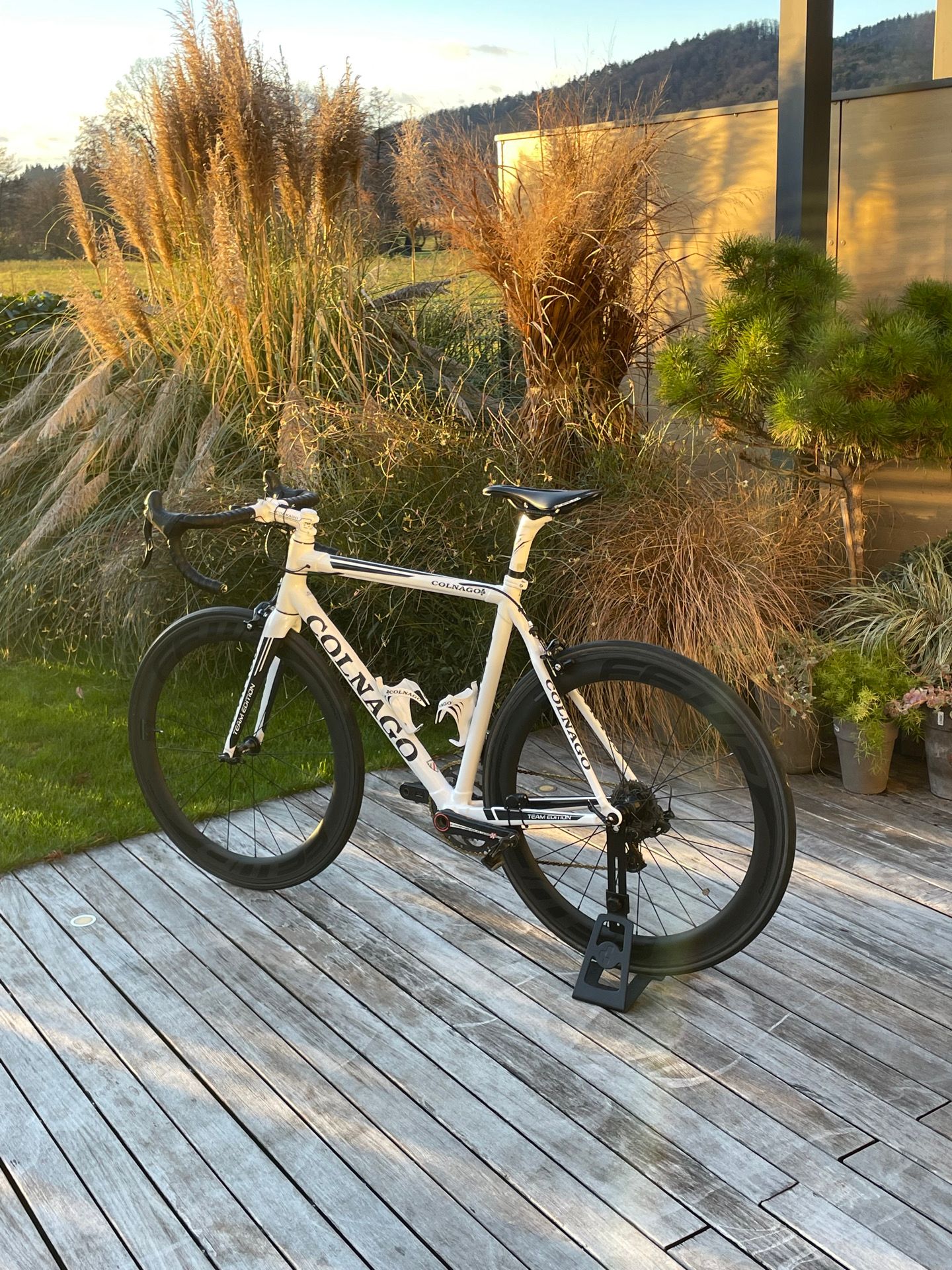 Colnago COLNAGO C59 Team Edition 2014