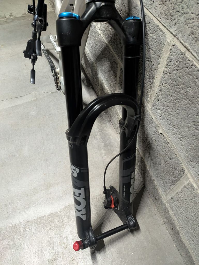 Canyon Torque 29 AL 6 2023 Frameset 2023