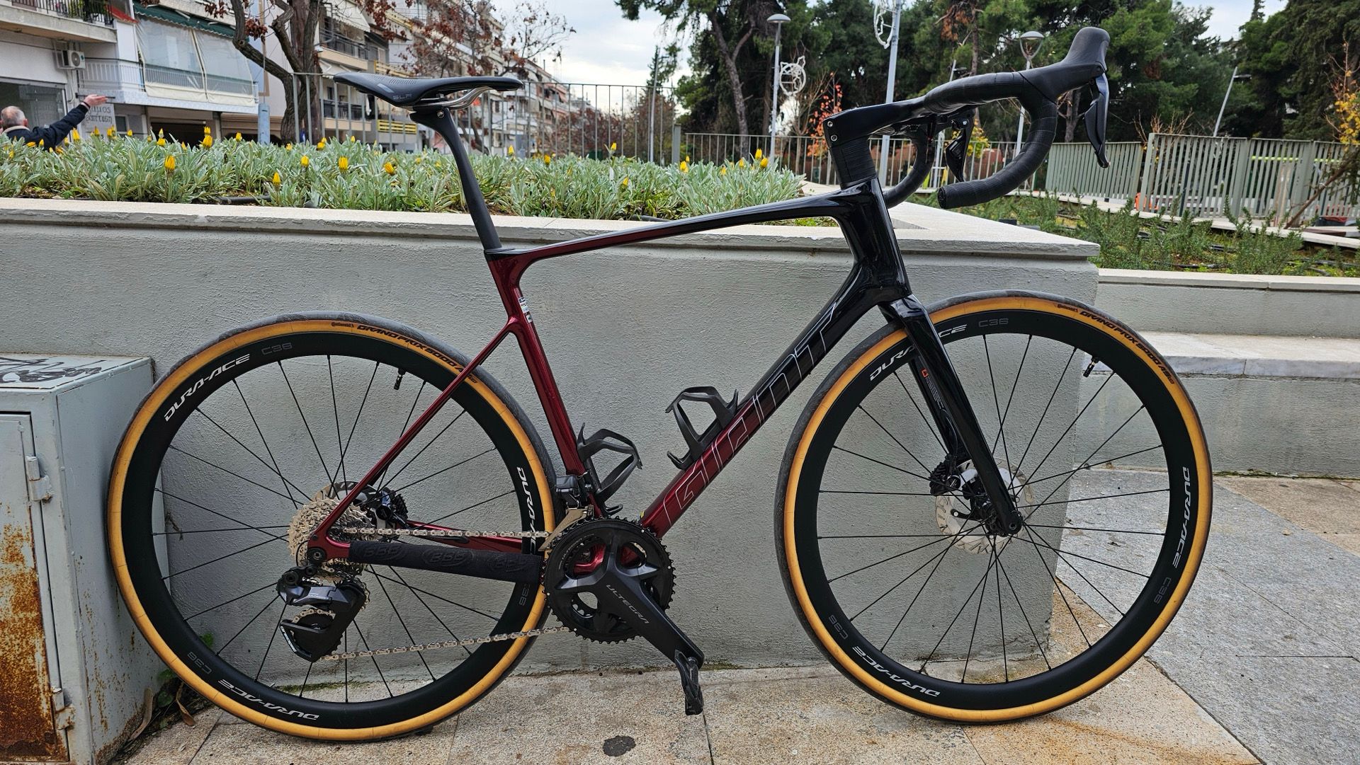 Giant Giant Defy Pro Di2 Ultegra 2024