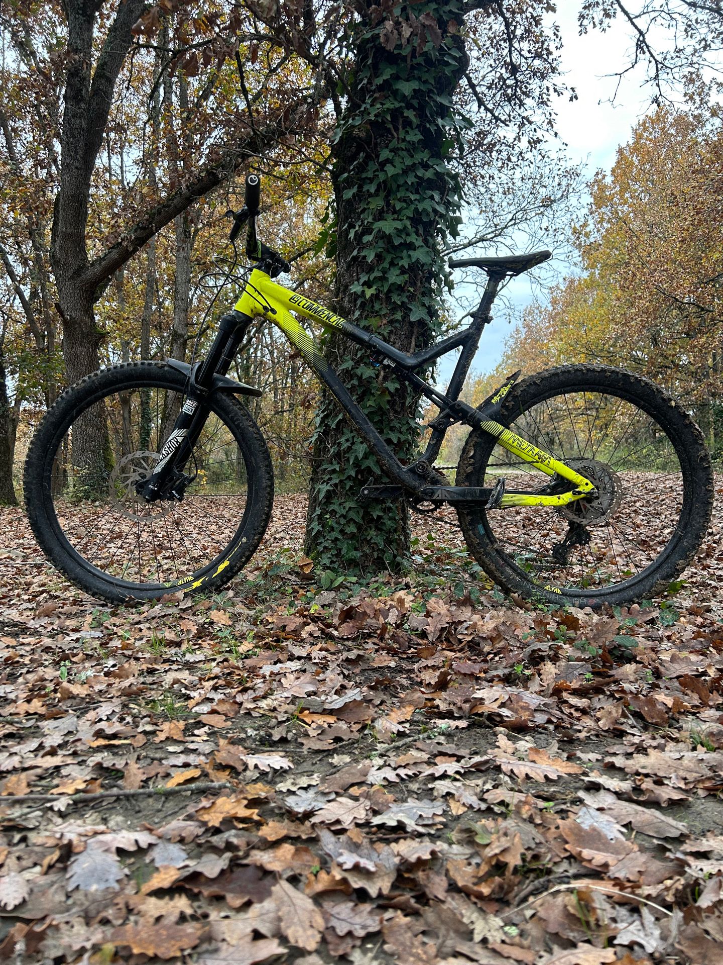 Commencal Meta Am V4 650B 2016 2016