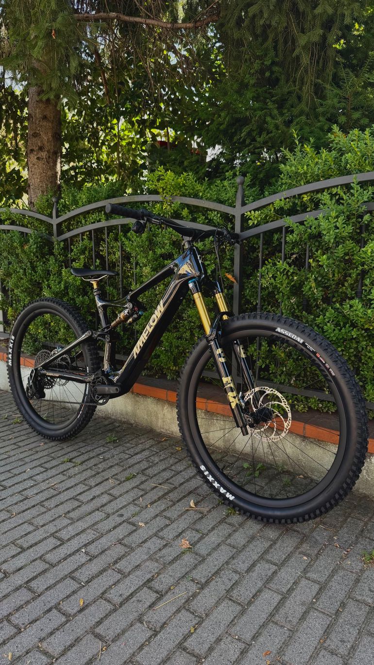 Amflow PL Carbon Pro (800Wh) 2025 2025