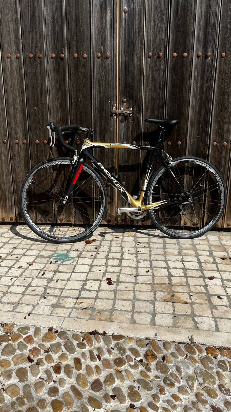 Specialized Roubaix Shimano Sora 2014