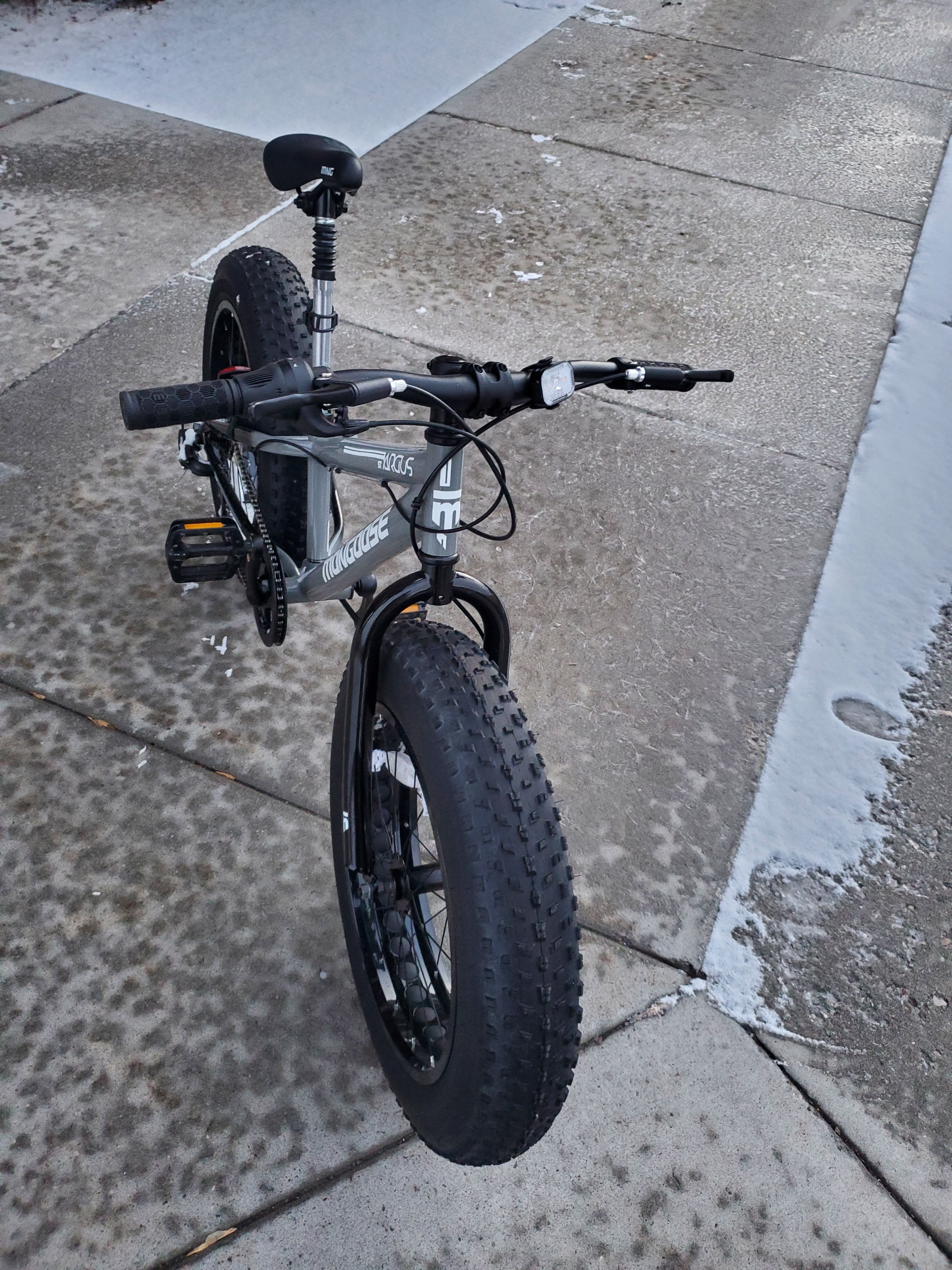 Mongoose Argus ST 20in 2025 2025