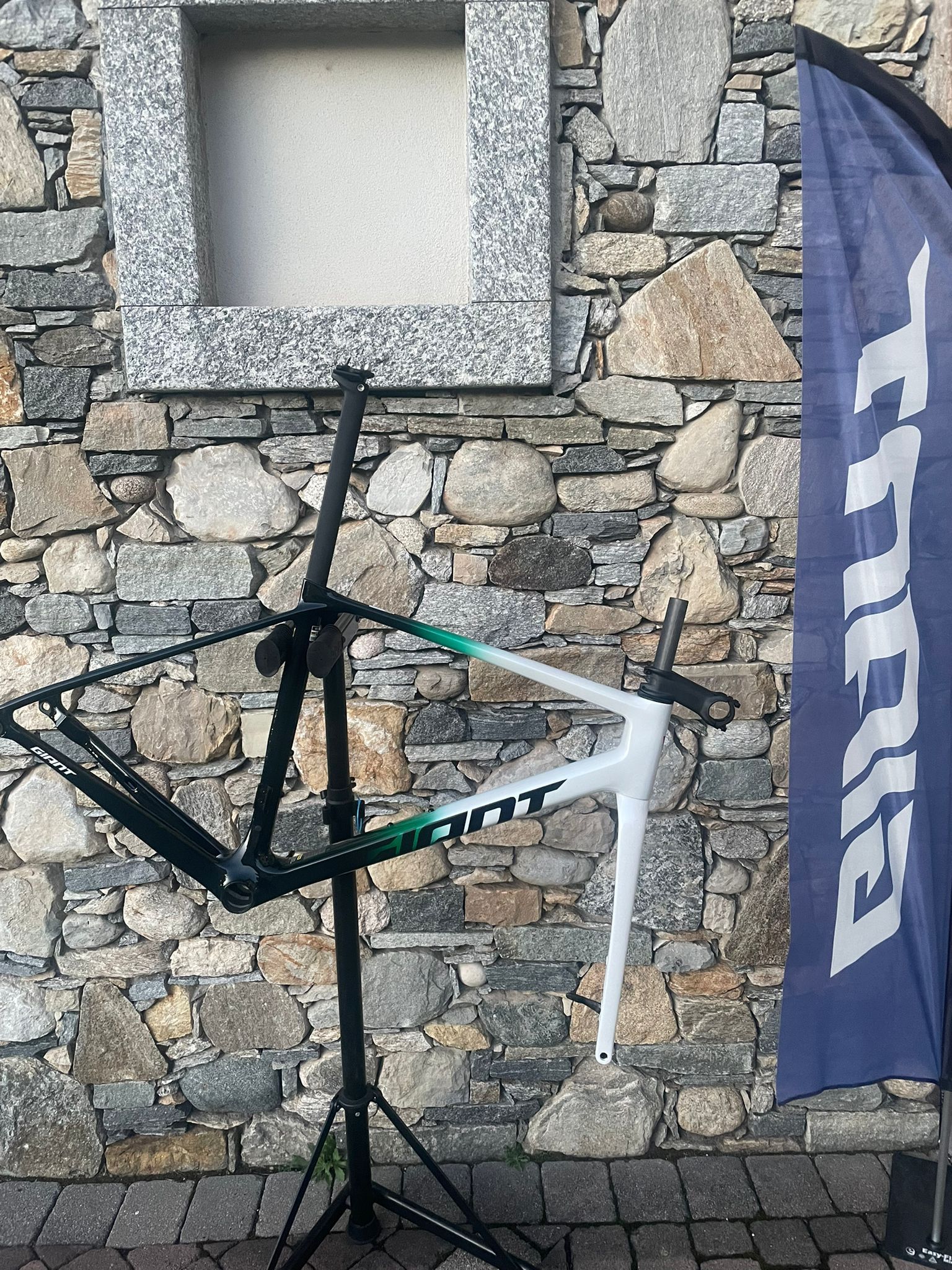 Giant Giant TCR Advanced Pro Frameset 2026 Frameset 2026