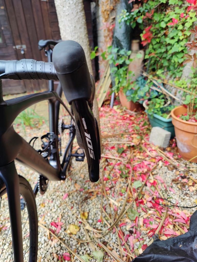 Trek Domane SL 6 Gen 4 2024 2024