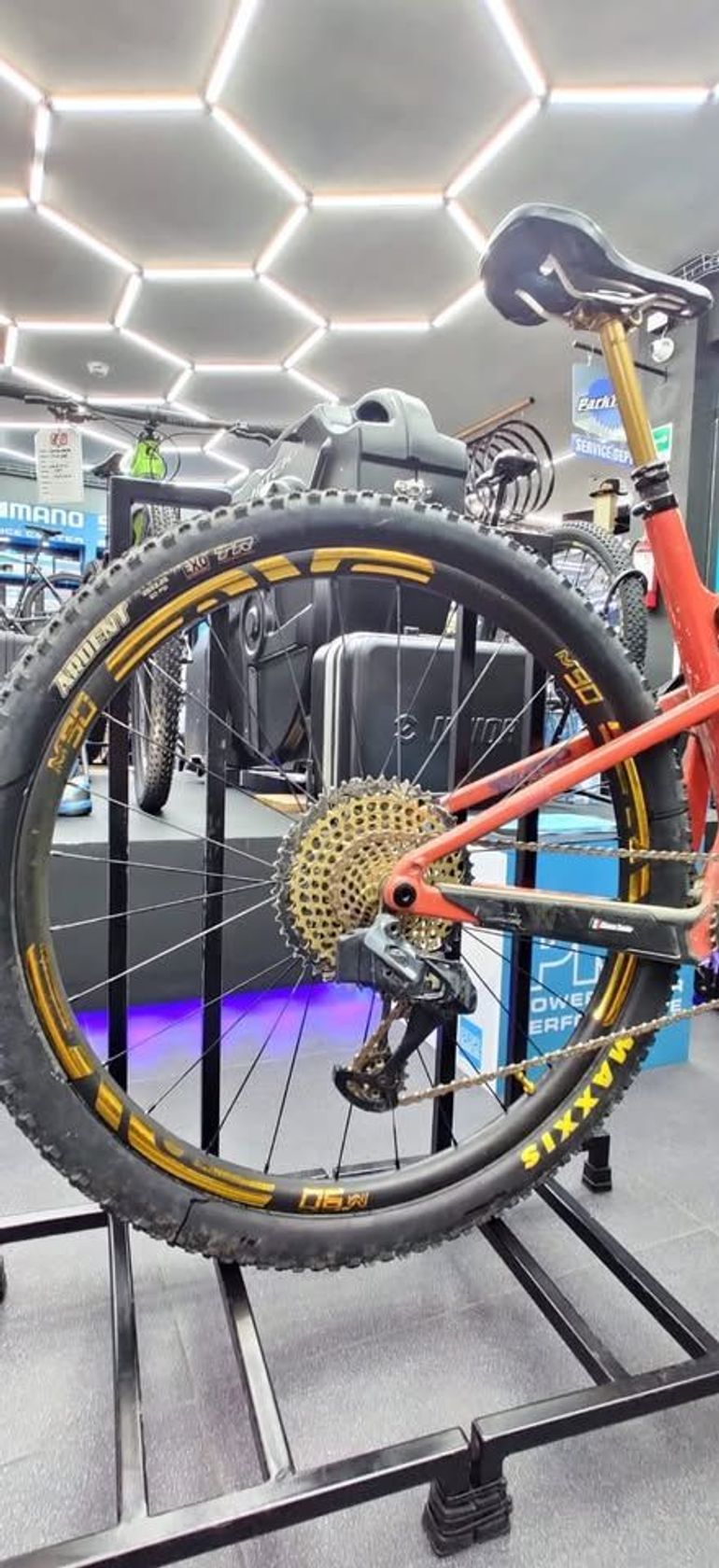 Santa Cruz Blur SRAM XX1 Eagle AXS 2019