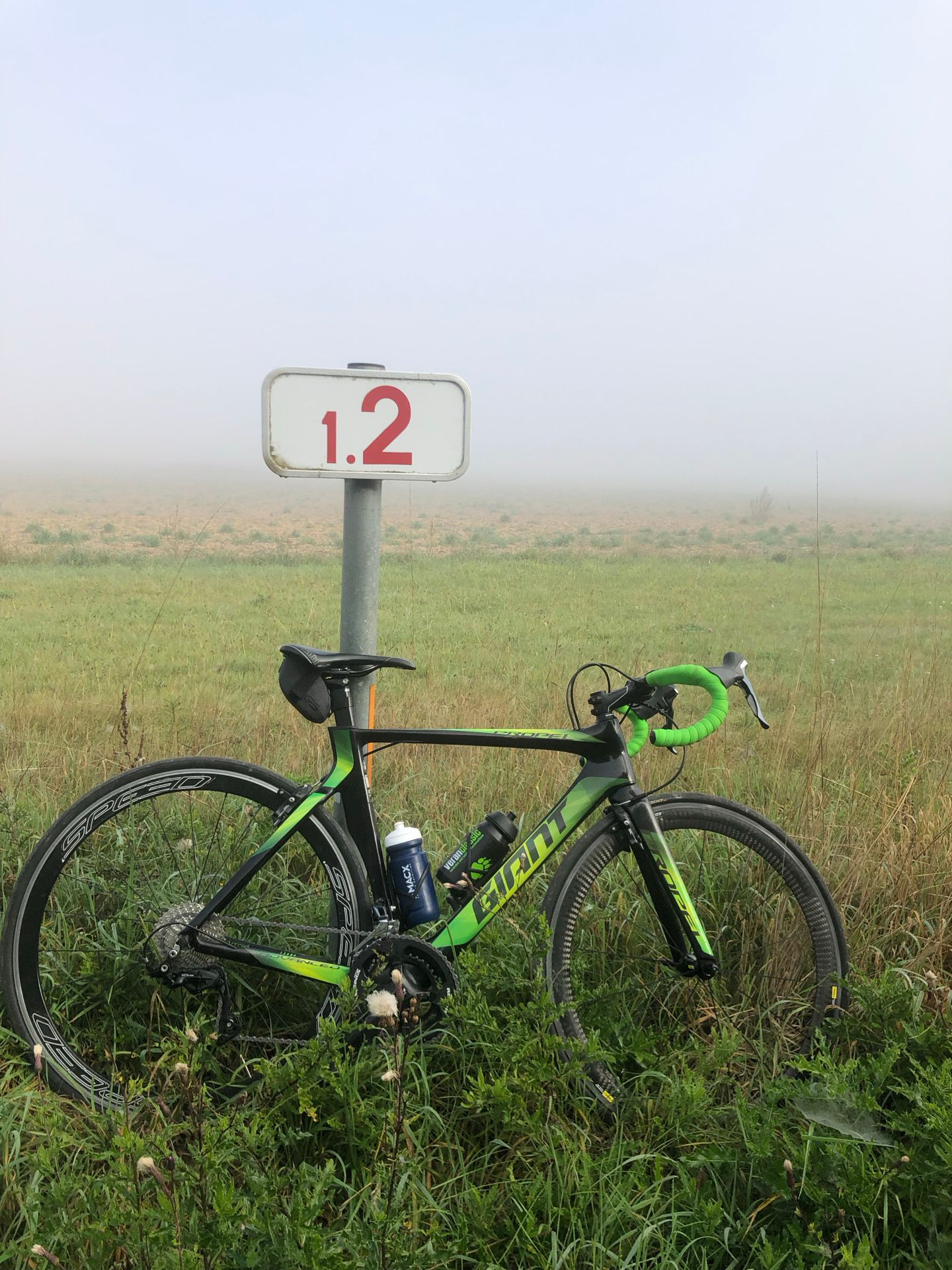 Giant Propel Advanced Pro 1 2018 2017