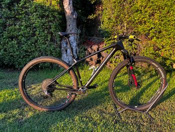 Focus Raven SRAM X01 Eagle 2019