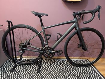 Trek Domane AL 2 Gen 4 2024 2024