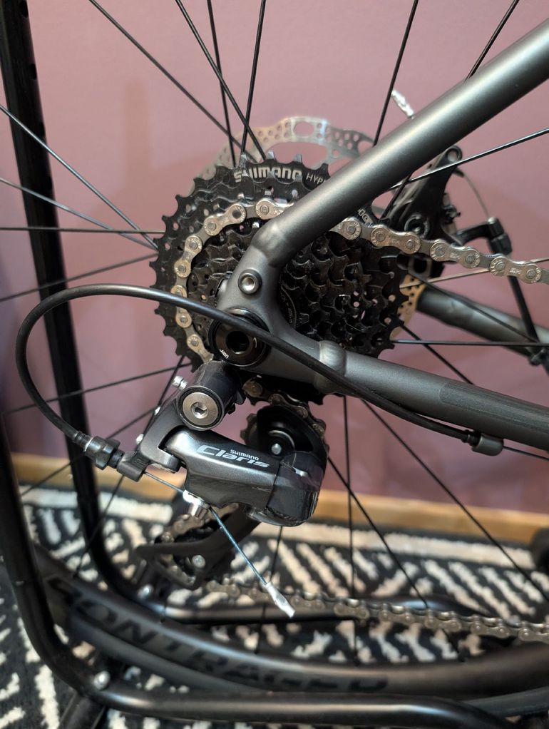 Trek Domane AL 2 Gen 4 2024 2024