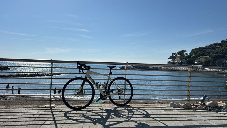 Trek Domane AL 4 Gen 4 2026 2026